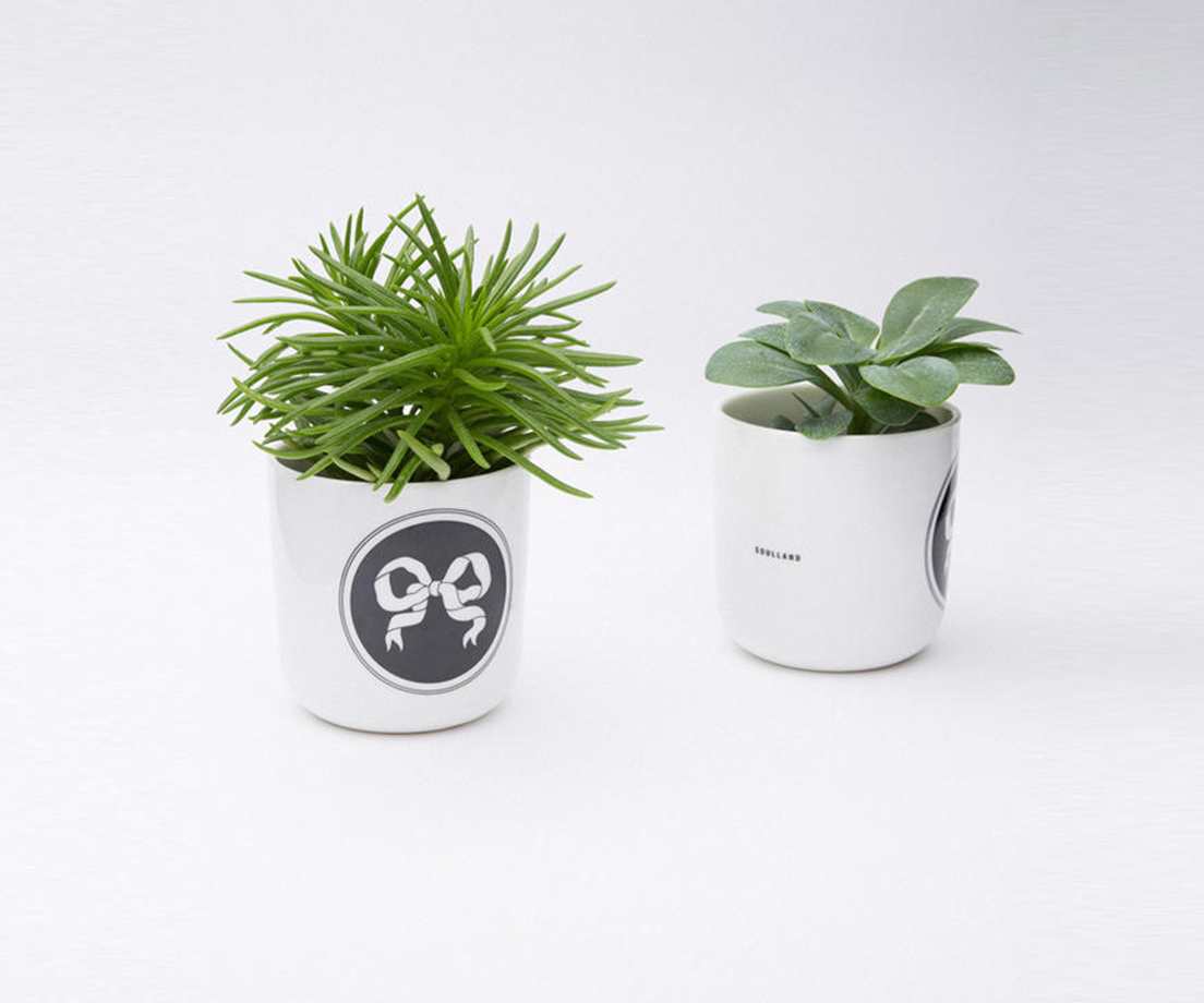 Vintage Logo – DCNC